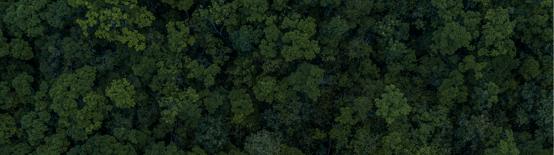 GenZero | Catalysing Climate Solutions