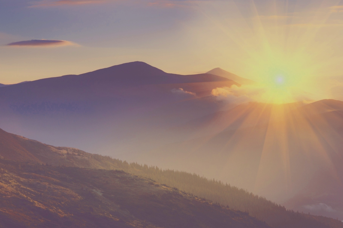 Announcements - GenZero